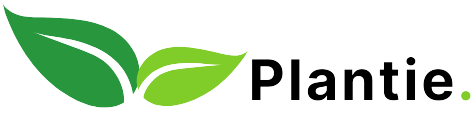 Plantie